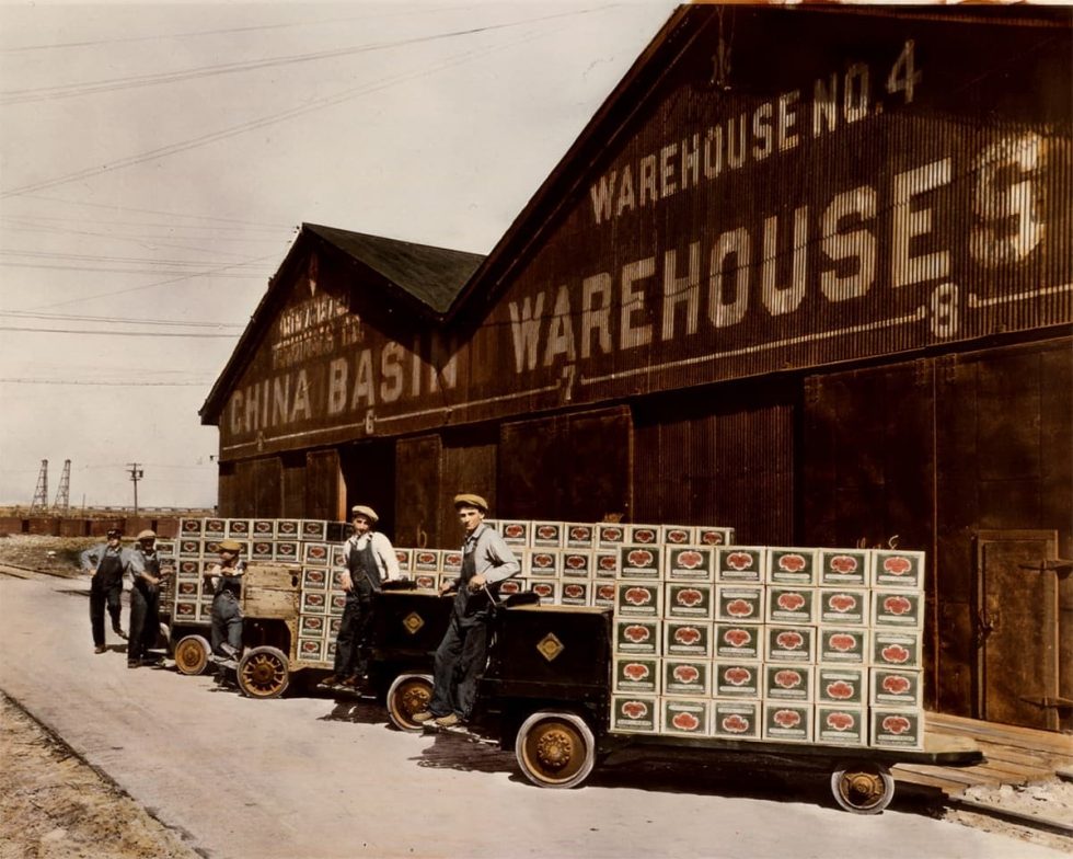 Historia - Del Monte Frutas